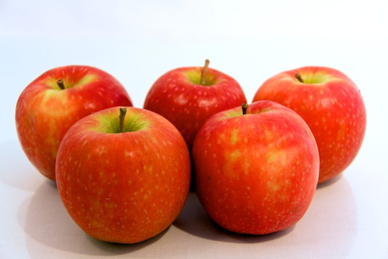 homepage - Vers van het veld